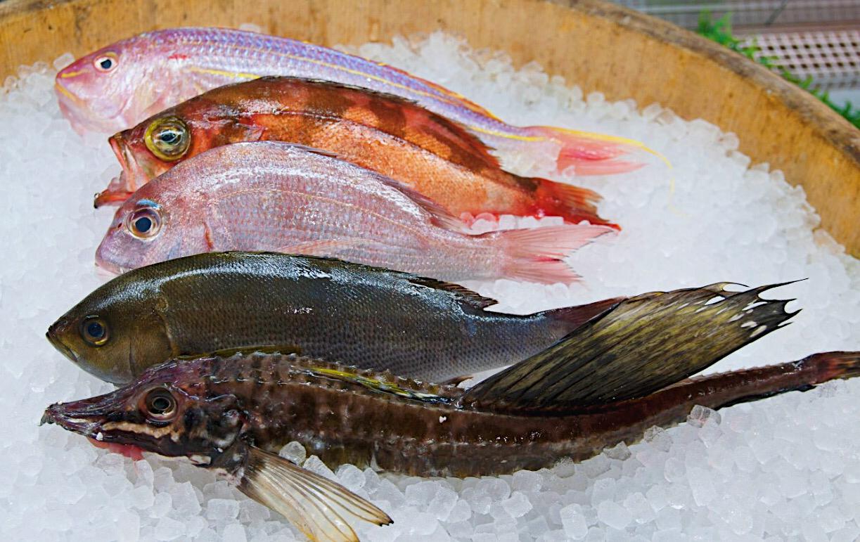 Excapade Japanese Cuisine